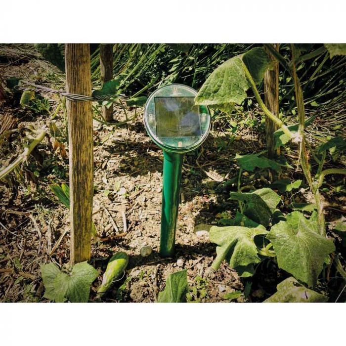 Solar mole hunter - Ukal