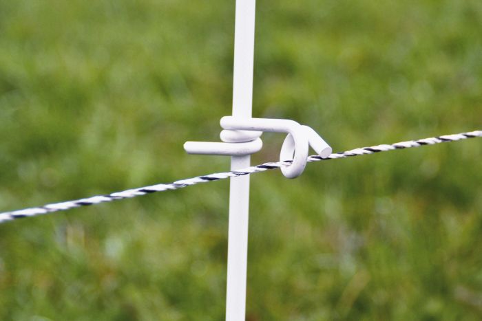 50 insulators plastic eyelet HORIZONT - Electric Fence - Ukal