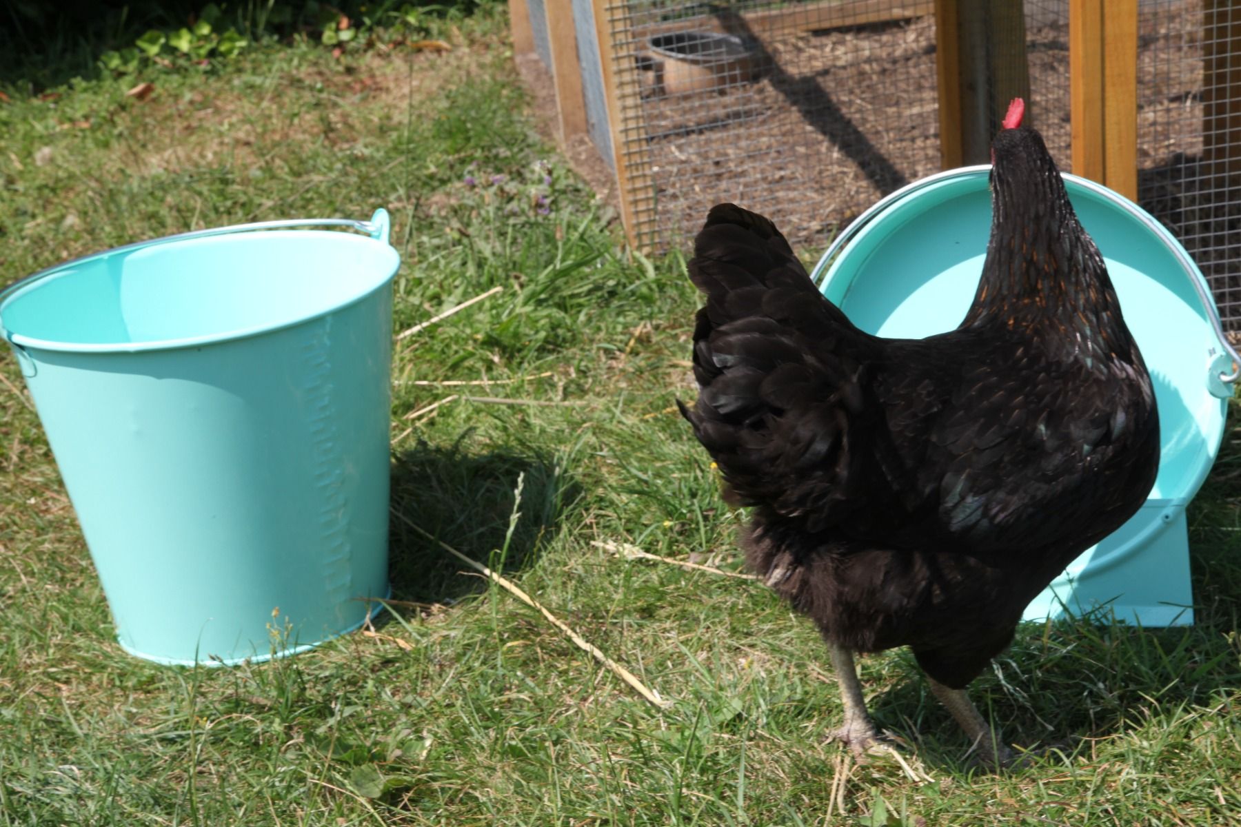 Seau12 L vert d'eau - Ukal