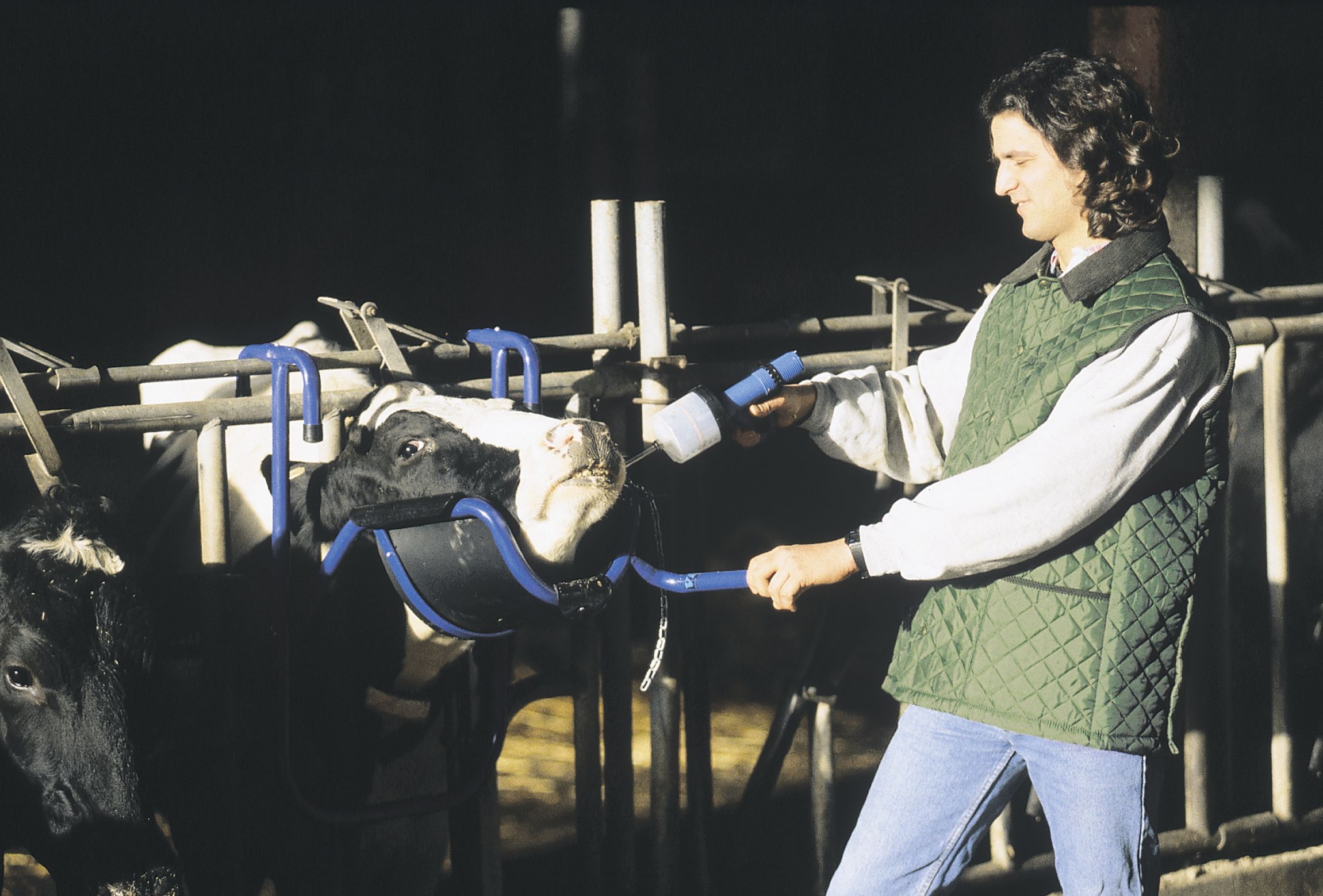 Vink head lift - Ukal