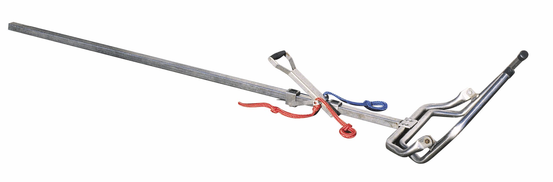 Calving jack beef cattle - Ukal