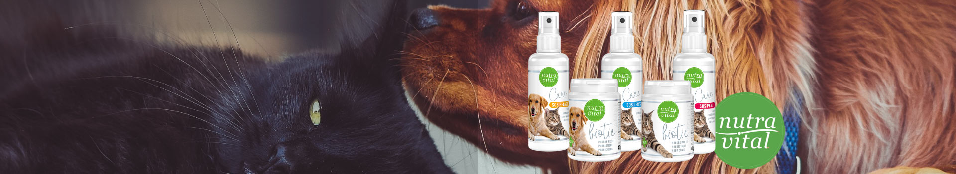 Le monde de l'élevage - Ukal